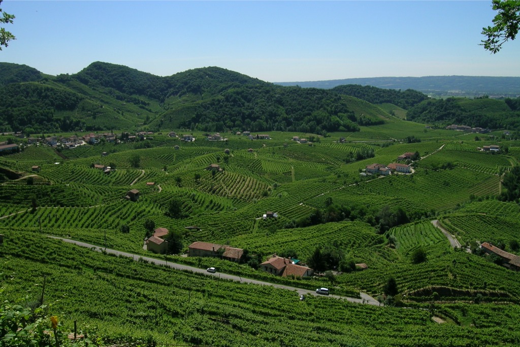Fratelli Bortolin | Italian Wine Club